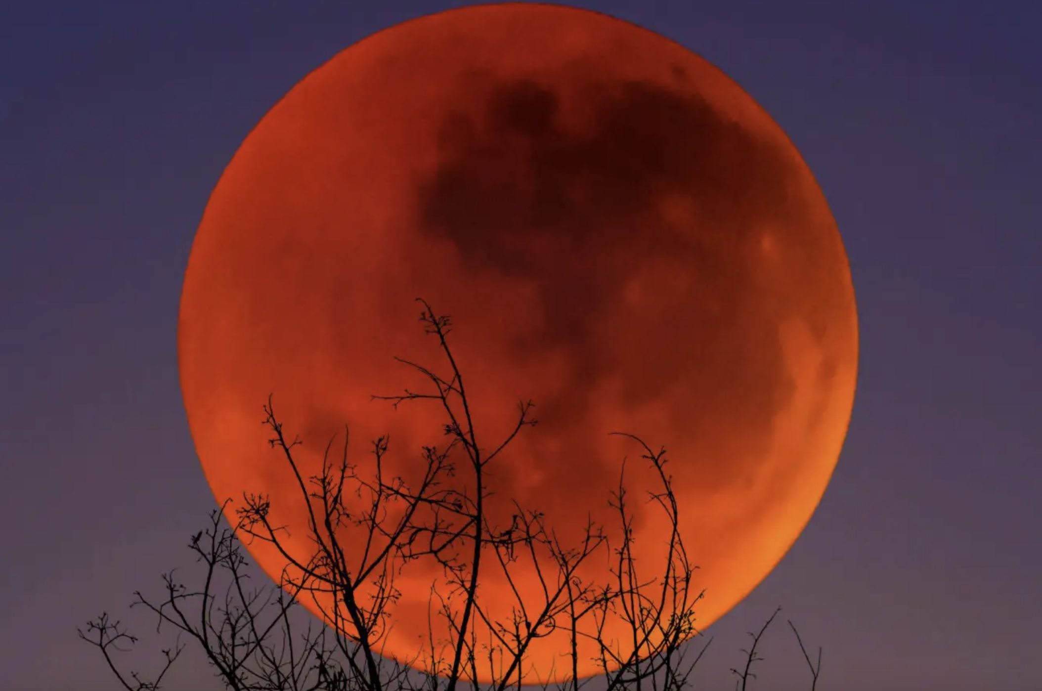 Kanlı ay tutulması Türkiye'den izlenecek mi, hangi illerde görünür? Kanlı ay tutulması nasıl ...